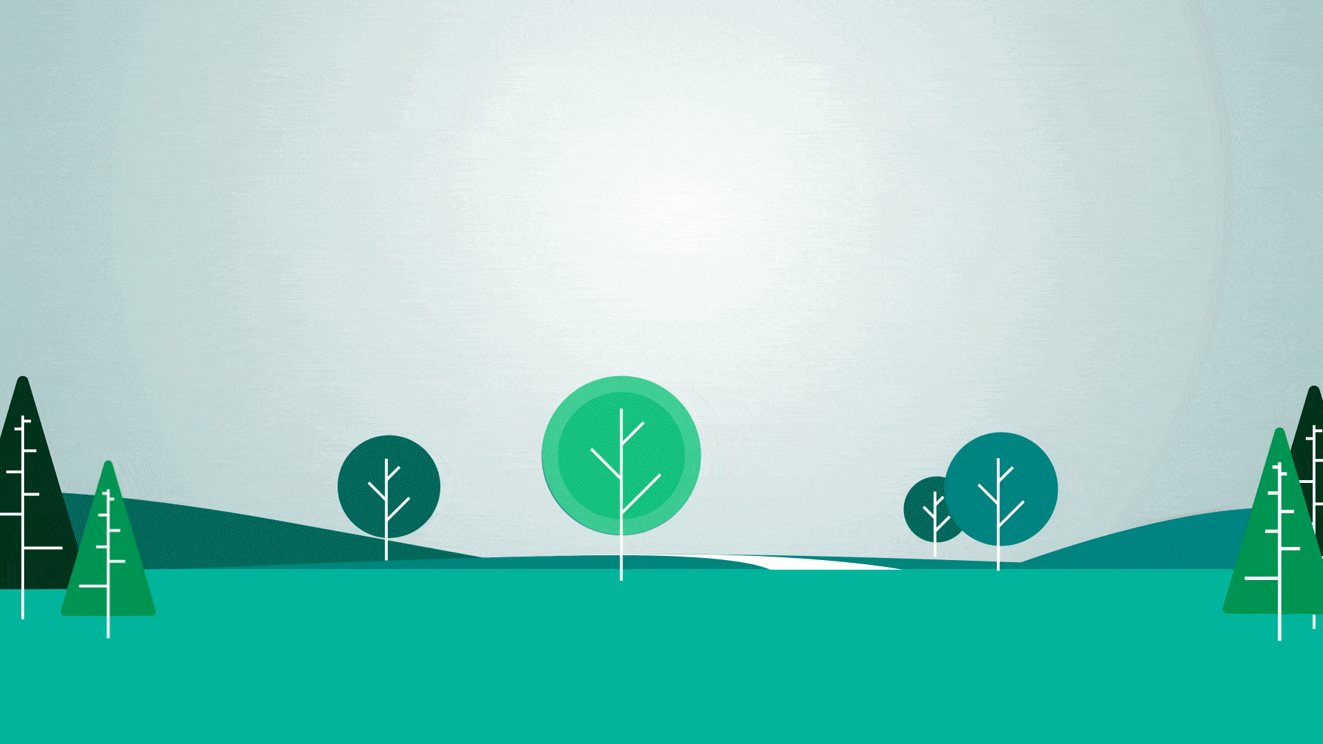 2D Animation IG 2D Animation IG